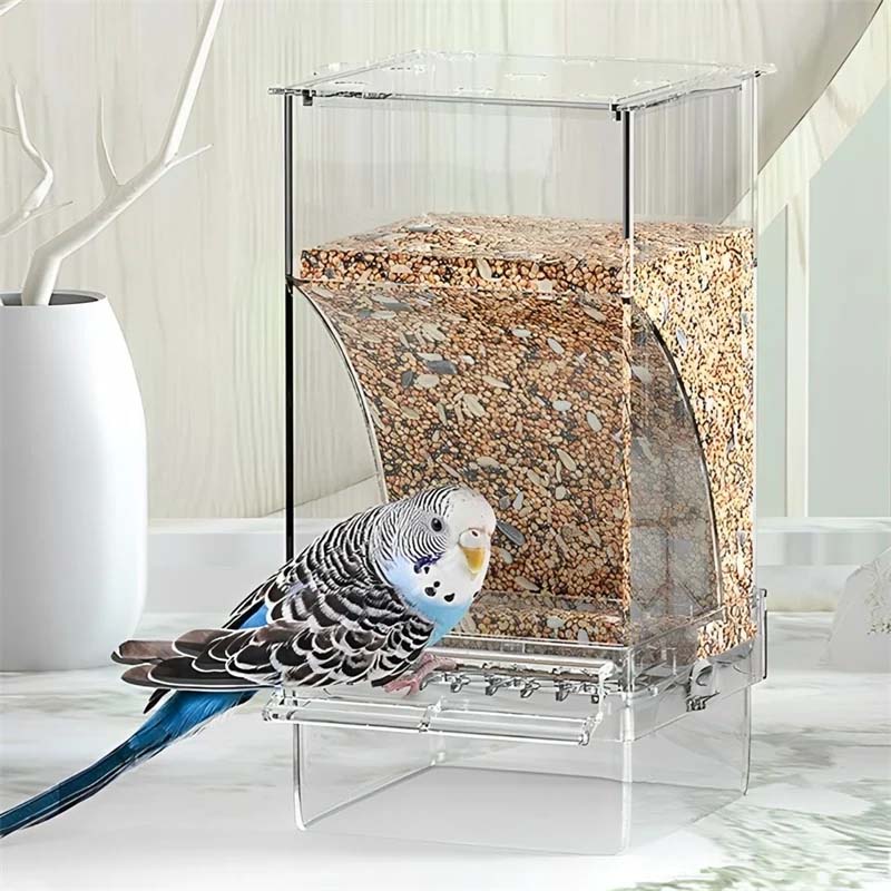 Automatic No-Spill Transparent Bird Feeder – fullofcarts