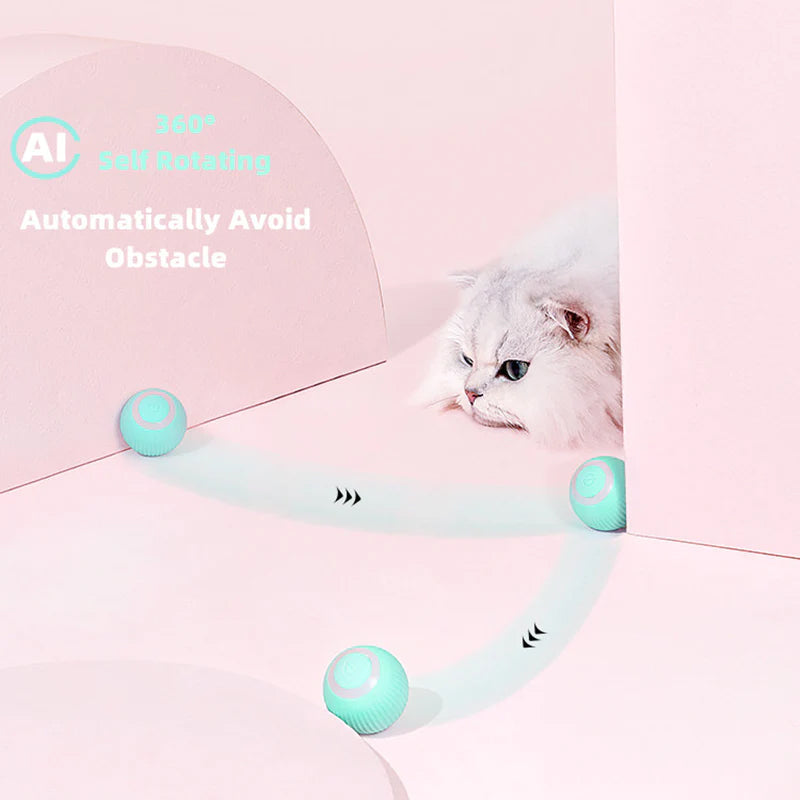 Smart Cat Interactive Ball Toys – fullofcarts