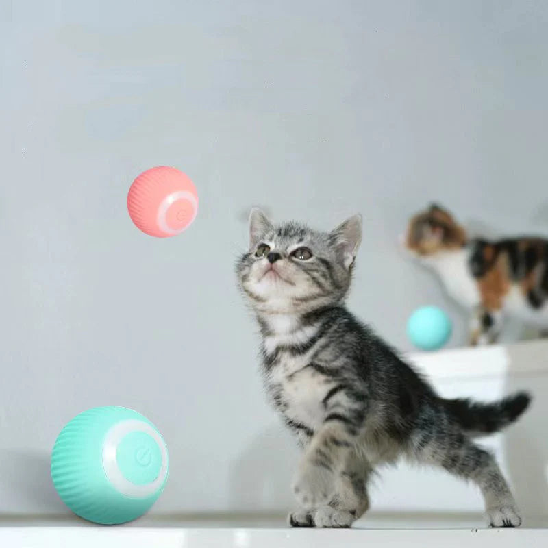 Smart Cat Interactive Ball Toys – fullofcarts